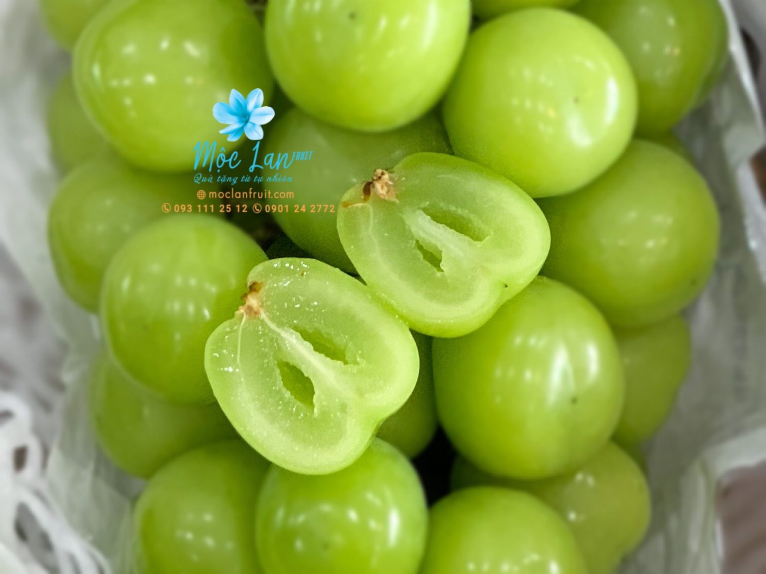 Shine Muscat (Nho Mẫu đơn) Hàn Quốc - MỘC LAN FRUIT