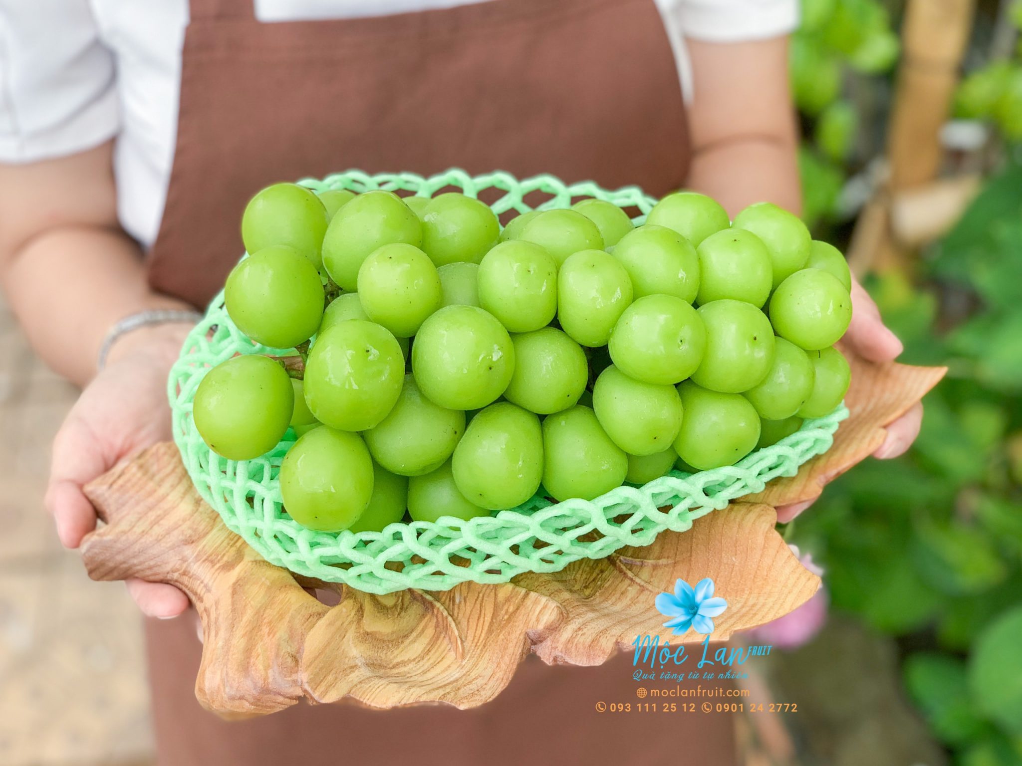 Shine Muscat (Nho Mẫu đơn) Hàn Quốc - MỘC LAN FRUIT